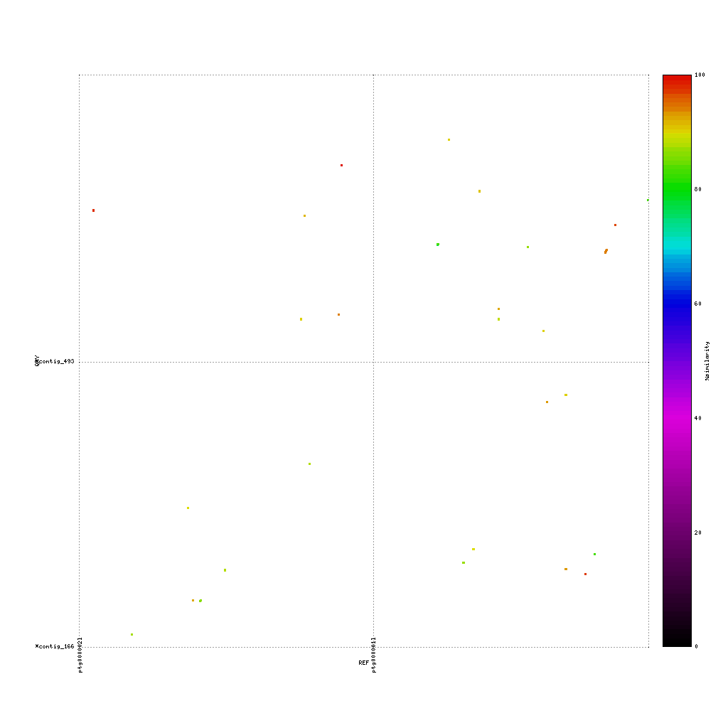 Comparison and visualization of long read assemblies – Long read genome ...