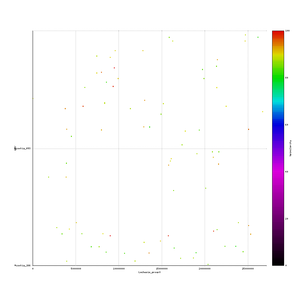Comparison and visualization of long read assemblies – Long read genome ...