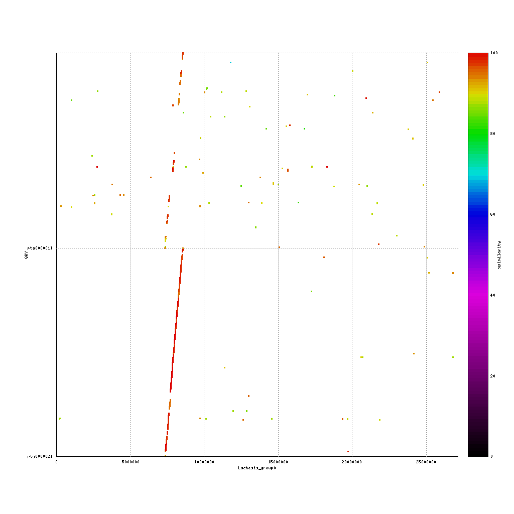 Comparison and visualization of long read assemblies – Long read genome ...